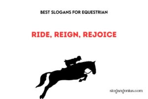 350+ Slogans for Equestrian (Inspire Riders)