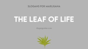 Slogans for Marijuana (Smoke with Style)