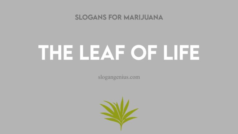 Slogans for Marijuana (Smoke with Style)