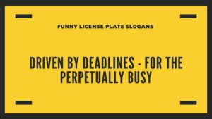 350+ Slogans for License Plate (Unpacking Their Identities)