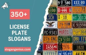 350+ Slogans for License Plate (Unpacking Their Identities)