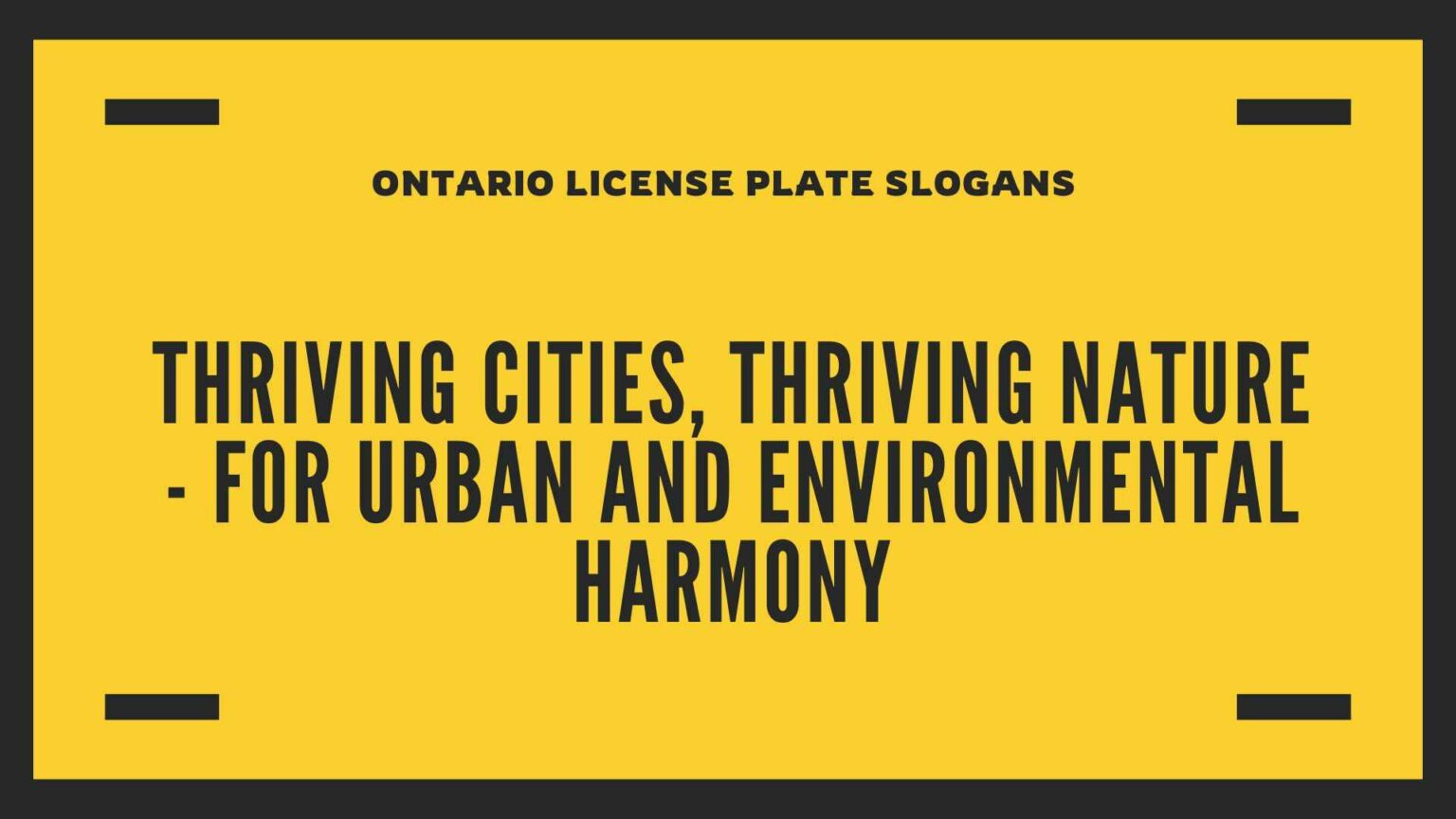 350+ Slogans for License Plate (Unpacking Their Identities)