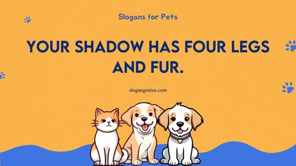 Slogans for Pet (Unique & Heartfelt)