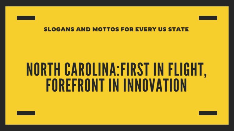 350+ Slogans for License Plate (Unpacking Their Identities)