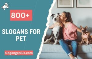 Slogans for Pet (Unique & Heartfelt)