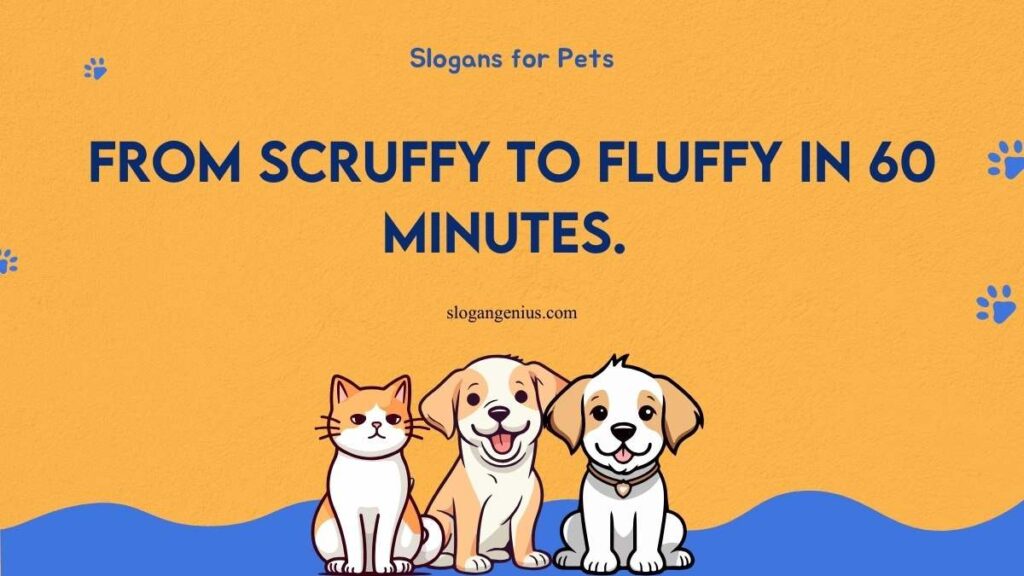 Slogans for Pet (Unique & Heartfelt)