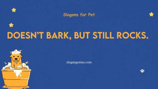 Slogans for Pet (Unique & Heartfelt)