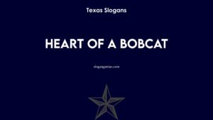 Texas Slogans (Speak Texas)