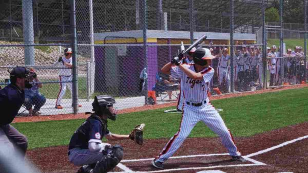 200+ Baseball Team Names (Power & Fun)